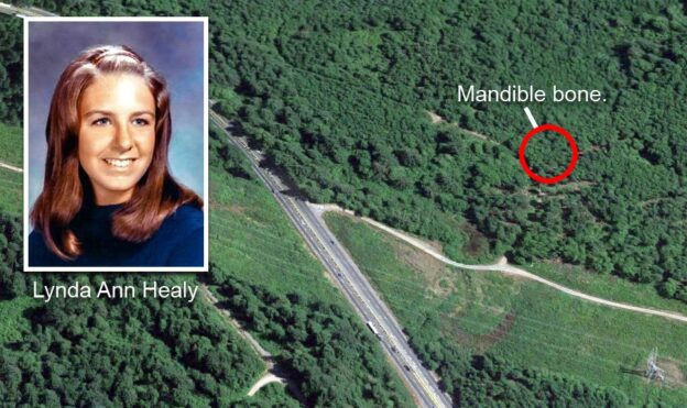 Lynda Ann Healy - Ted Bundy's 2nd victim.
